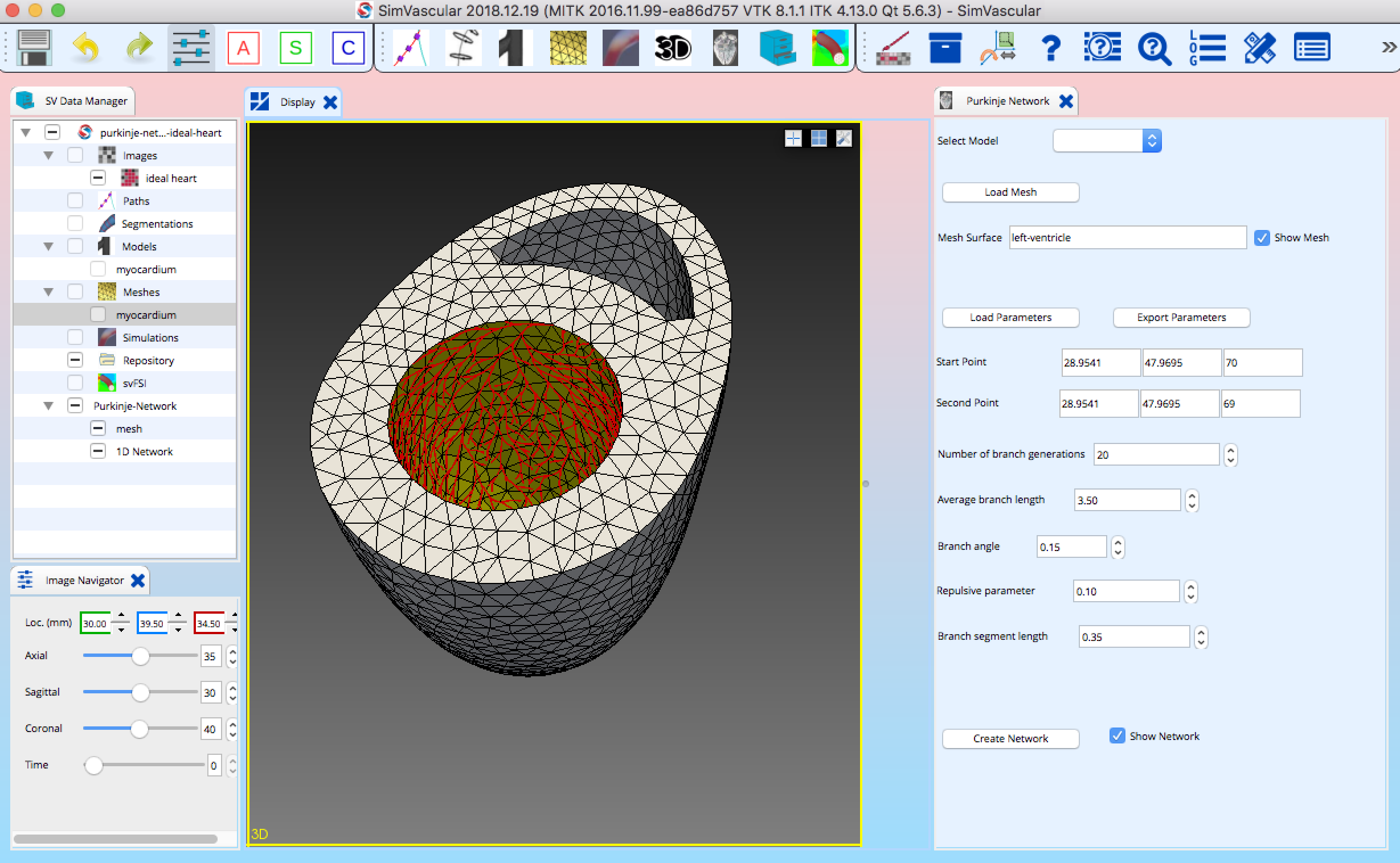 Purkinje Plugin · Issue #388 · SimVascular/SimVascular · GitHub