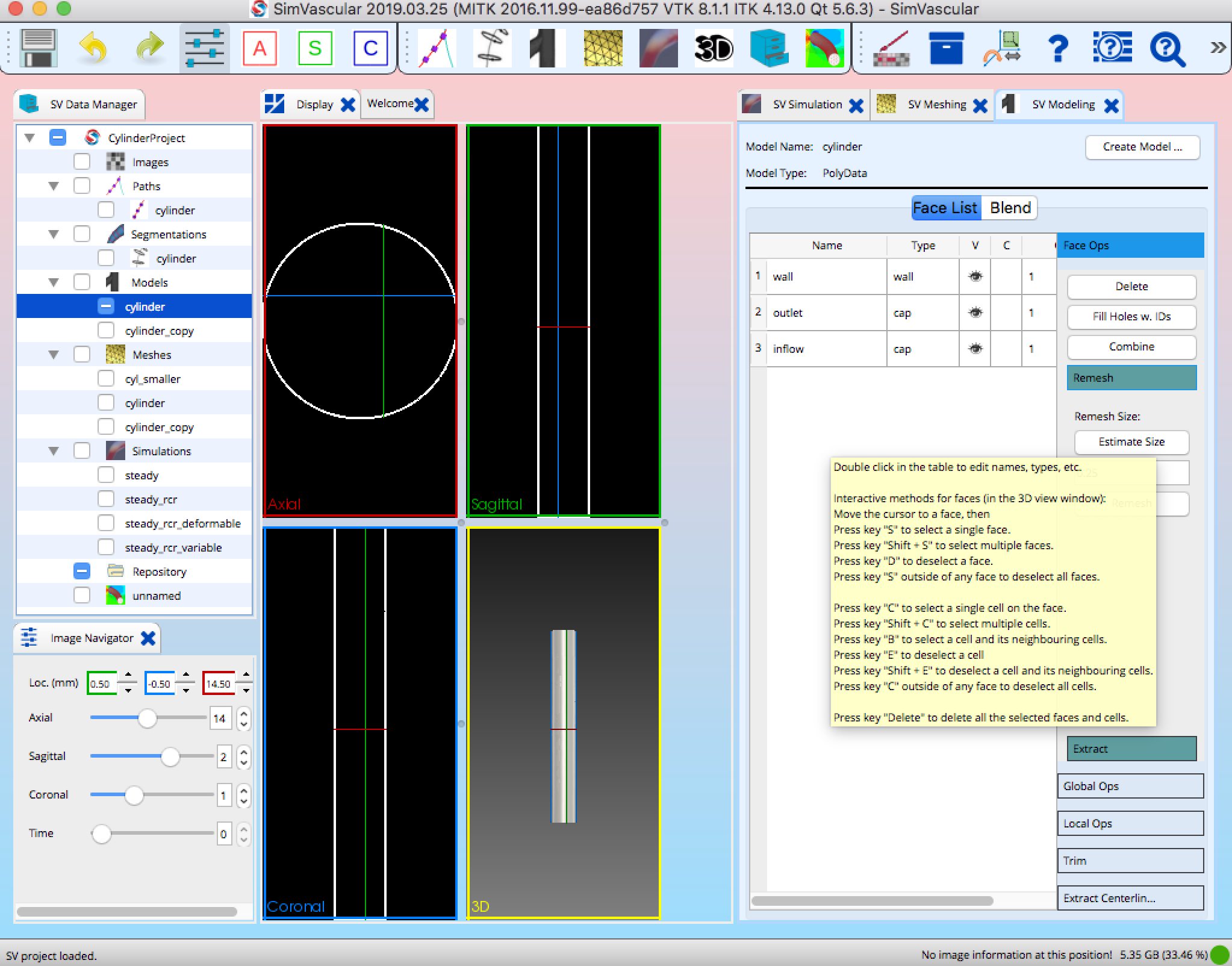 Add descriptive text to GUI widgets · Issue #442 · SimVascular ...