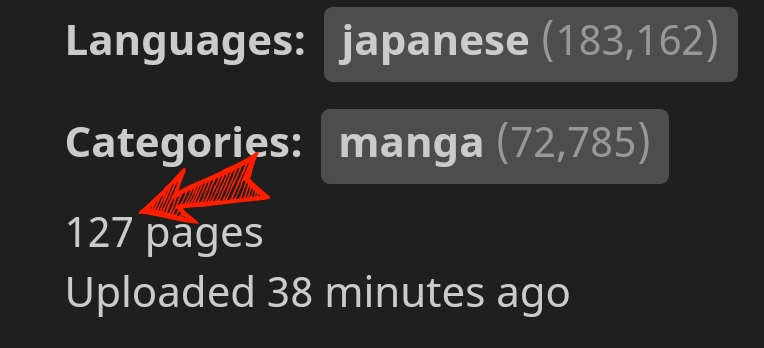 Page quantity · Issue #37 · Dar9586/NClientV2 · GitHub