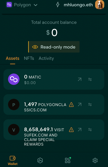 Incorrectly displayed asset name · Issue #2922 · tahowallet/extension · GitHub