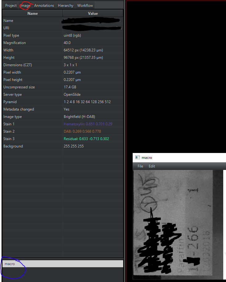 Labels are not displayed correctly for some image formats · Issue #40 · qupath/qupath · GitHub