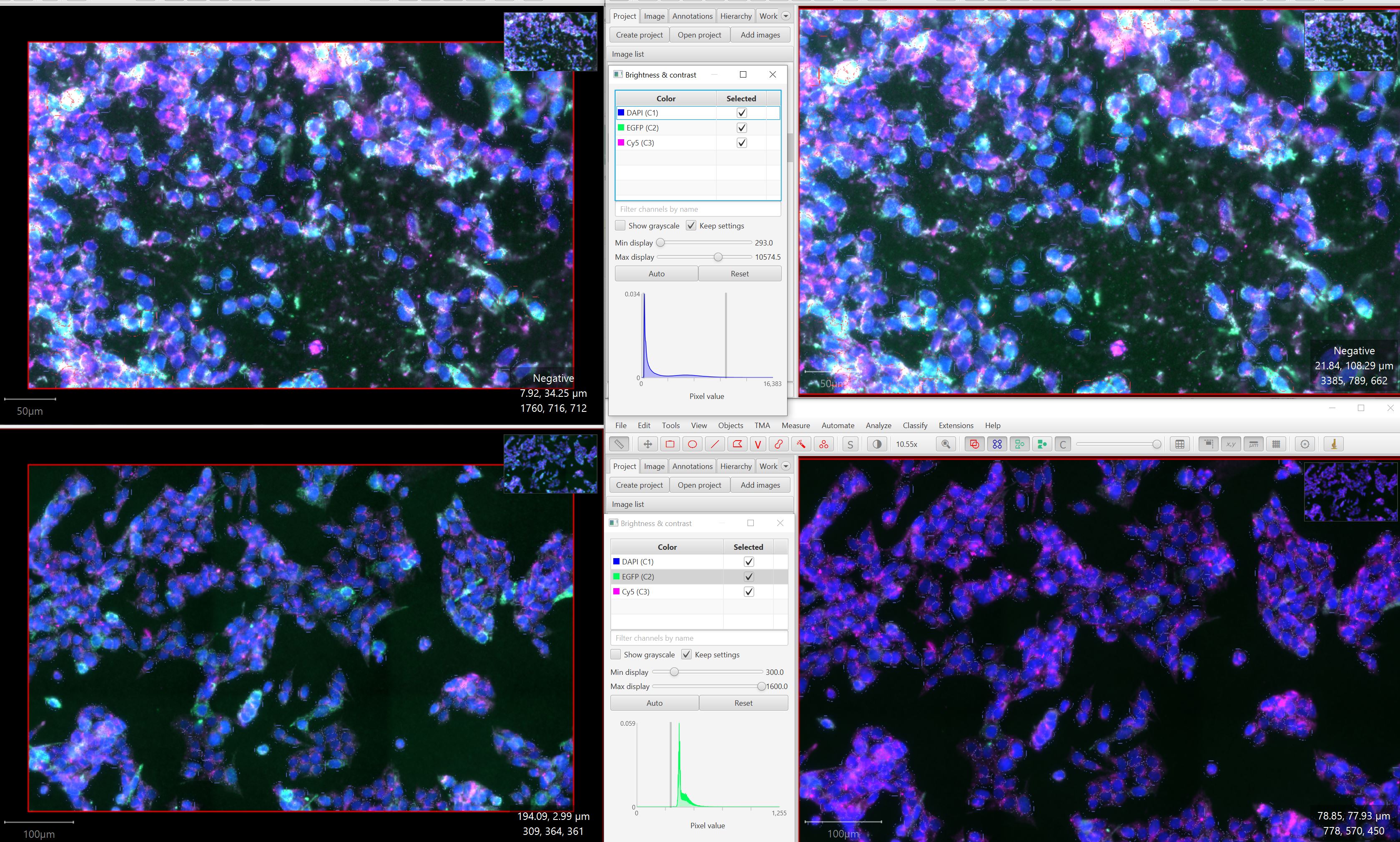 Multiviewer does not use "Keep settings" for channel displays · Issue ...