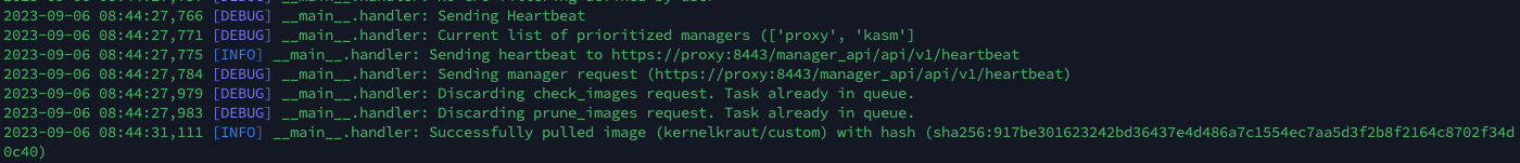 Cannot Use Custom Images From Docker Hub Anymore · Issue 444 · Kasmtech Workspaces Issues · Github
