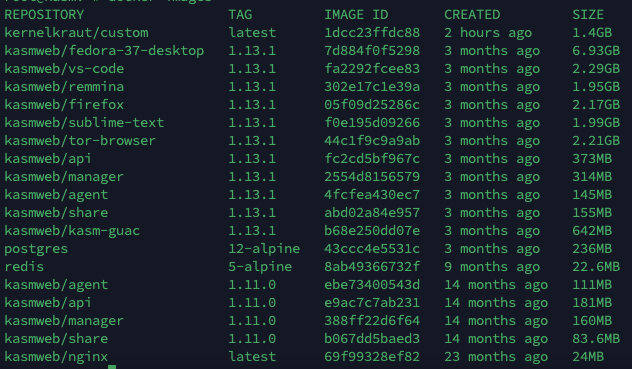Cannot use custom images from Docker Hub anymore · Issue #444 · kasmtech/workspaces-issues · GitHub