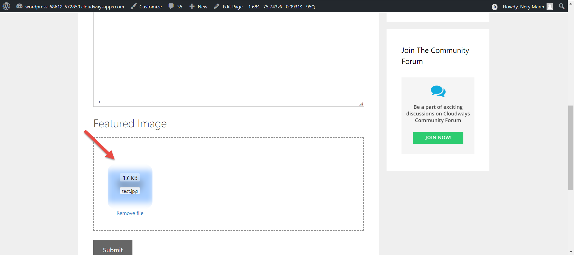Feature image issue · Issue #464 · BuddyForms/BuddyForms · GitHub