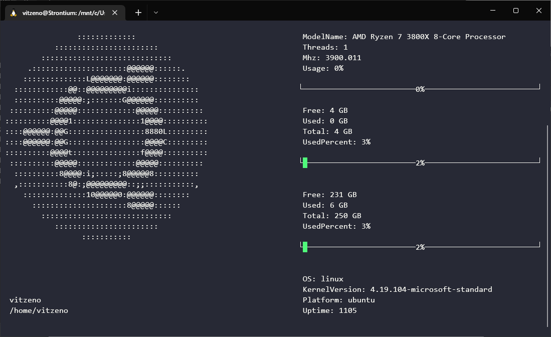 GitHub - Vitzeno/gofetch: Basic crossplatfrom neofetch like program written in go to display ...