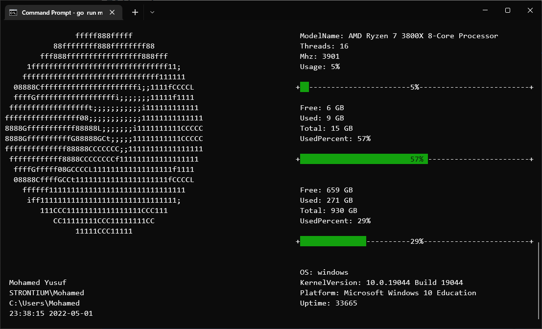 GitHub - Vitzeno/gofetch: Basic crossplatfrom neofetch like program ...