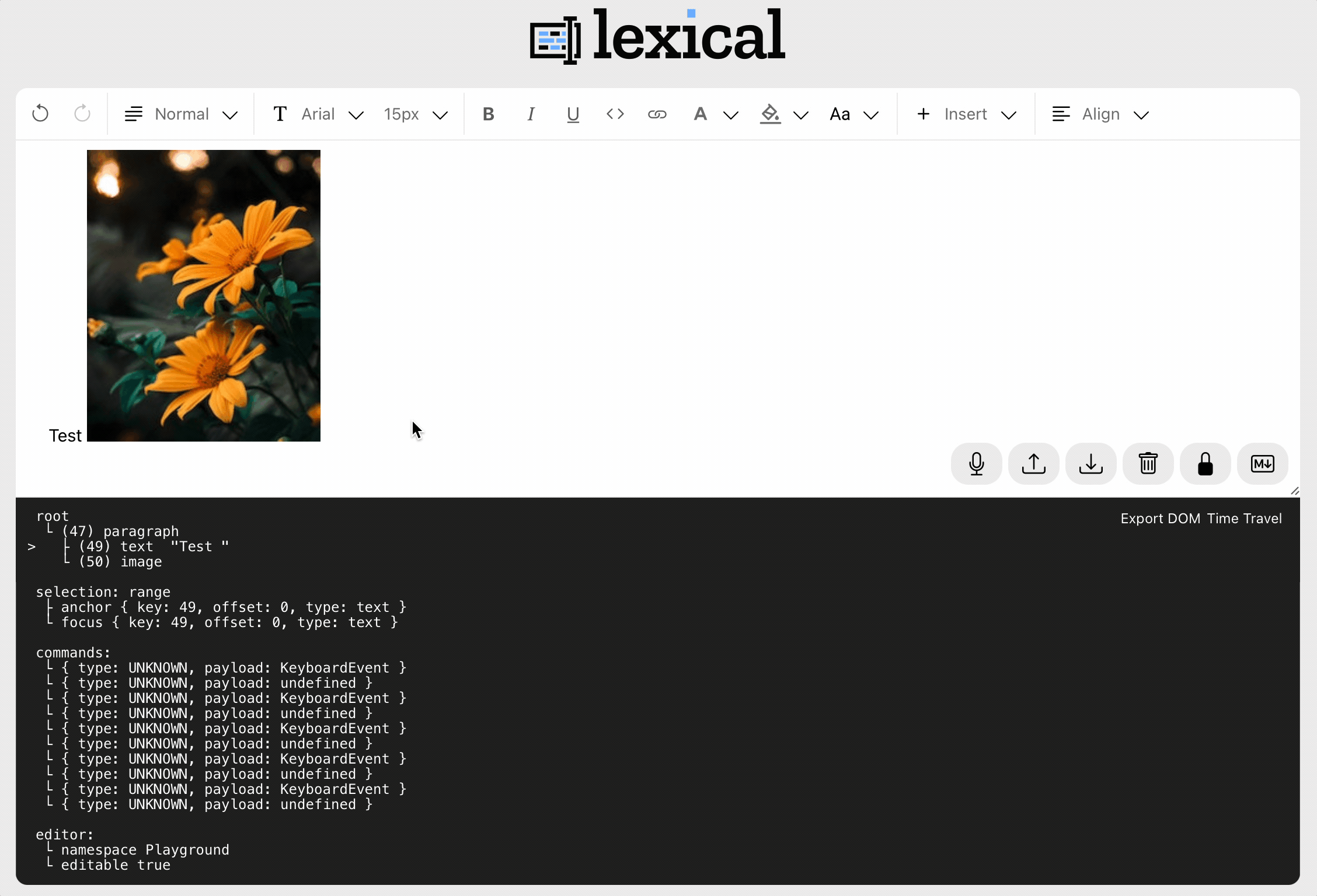 Bug Cannot Place Cursor At The End Of The Line Safari · Issue 4487 · Facebooklexical · Github 