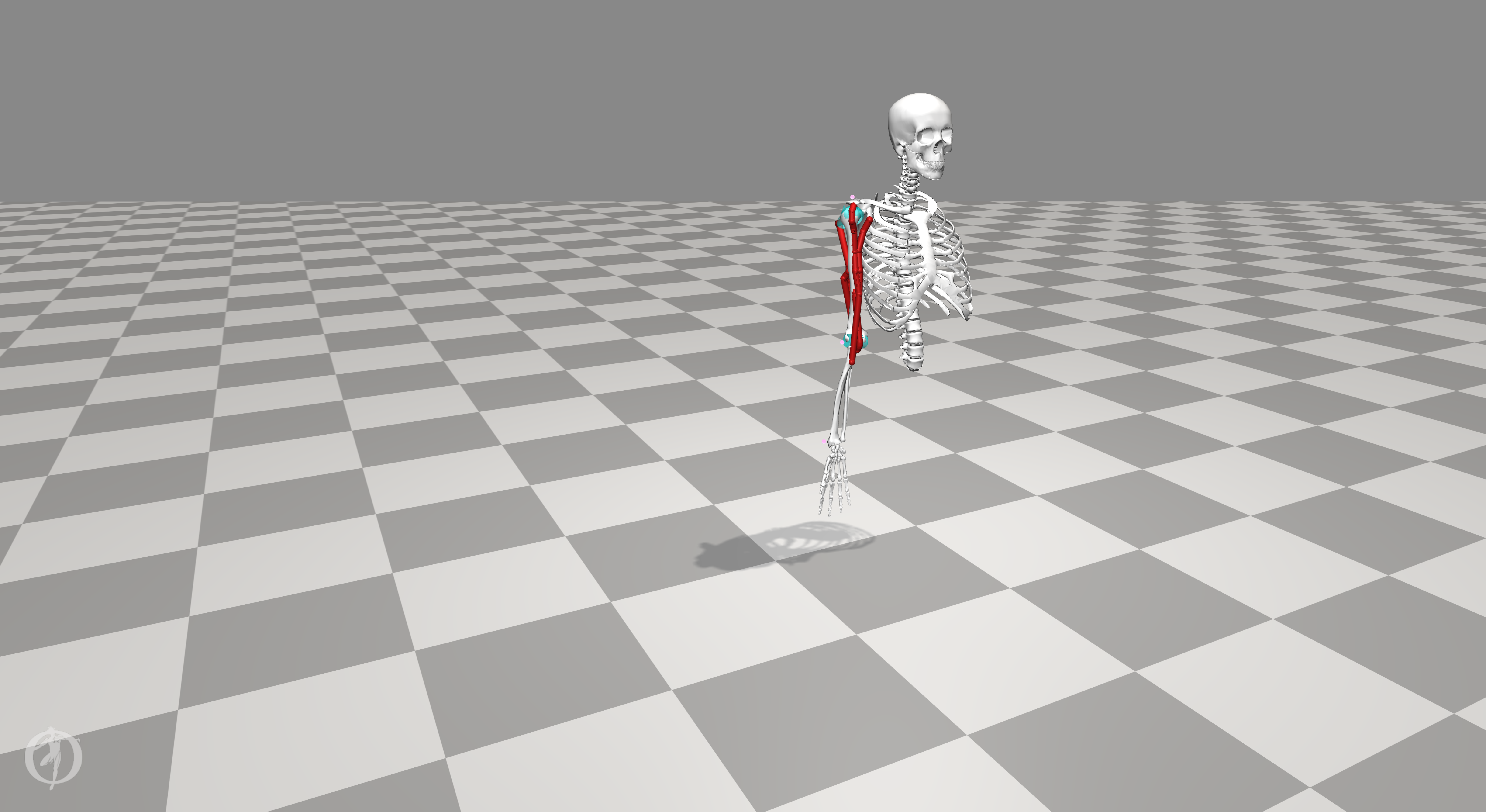 Saving high-resolution screenshots from the visualizer cuts off the image · Issue #299 · opensim ...