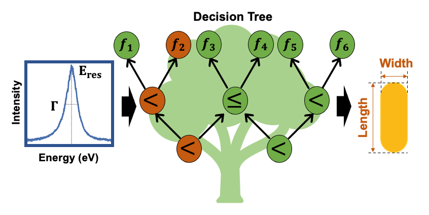 GitHub - NSFCAFF/AuNR_DTR