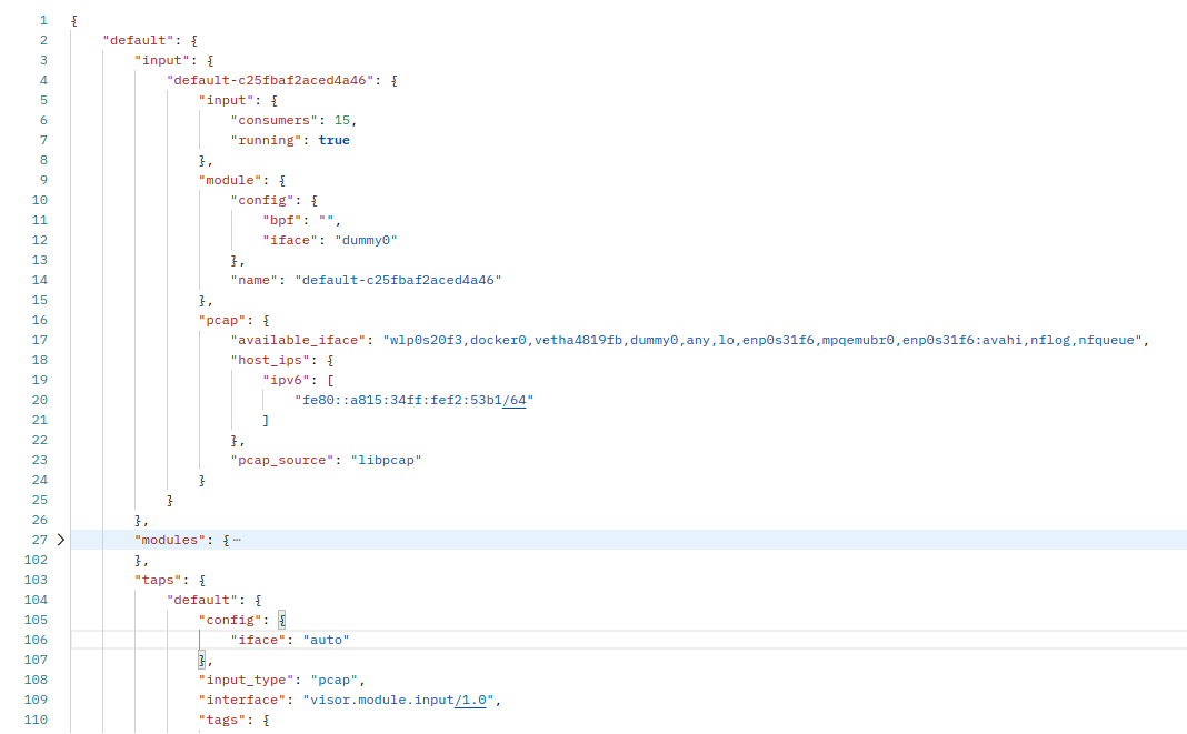 Expose the interface observed when "auto" is chosen as iface · Issue #436 · netboxlabs/pktvisor ...