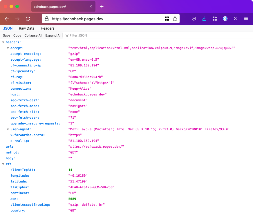 GitHub - geelen/echoback
