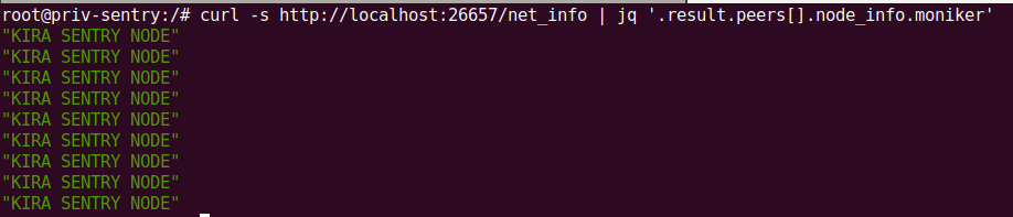 Private and Public sentries are named incorrectly · Issue #76 · KiraCore/kira · GitHub