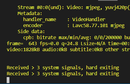 generate_video_jpgs.py with ActivityNet got stuck · Issue #196 · kenshohara/3D-ResNets-PyTorch ...