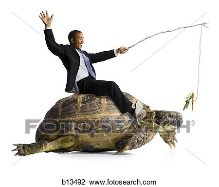 [REMOTO ou São Paulo] Front-end Developer (qualquer nível) na Simbiose Ventures · Issue #3084 ...