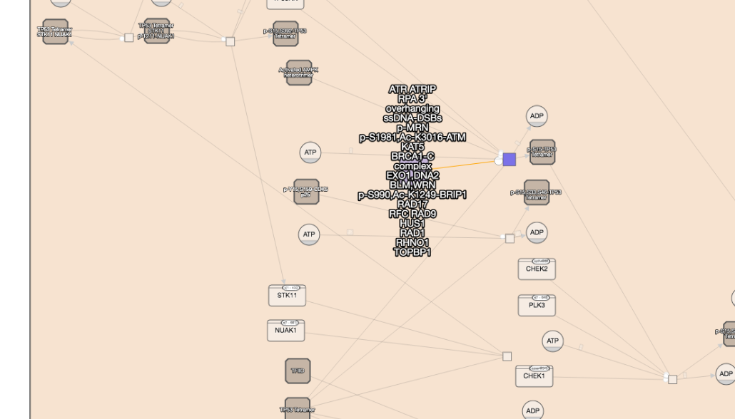 Layout tweaks · Issue #109 · PathwayCommons/pathways-search · GitHub