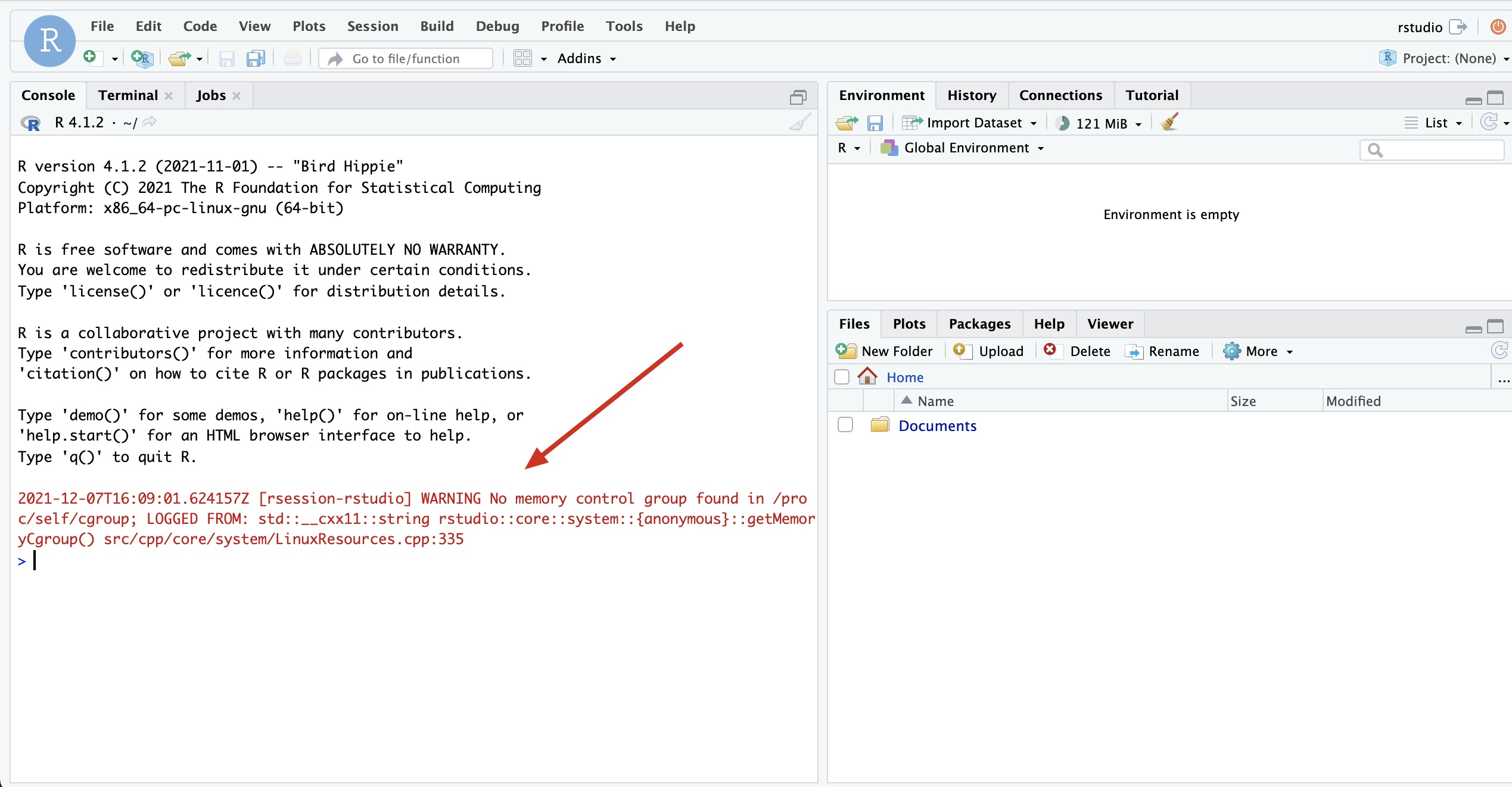 Warning in RStudio when starting · Issue #306 · rocker-org/rocker ...