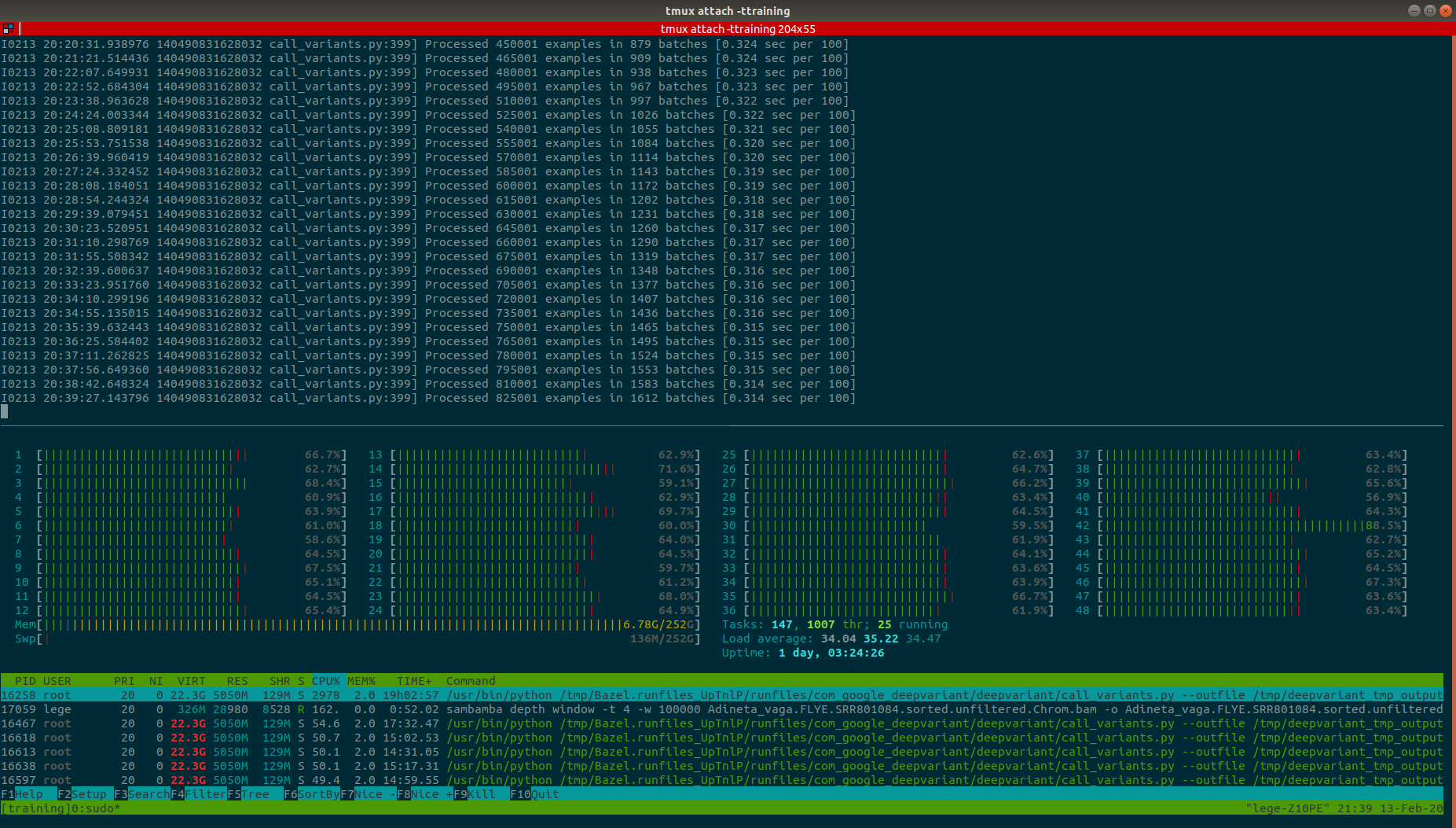 threads per shard · Issue #271 · google/deepvariant · GitHub