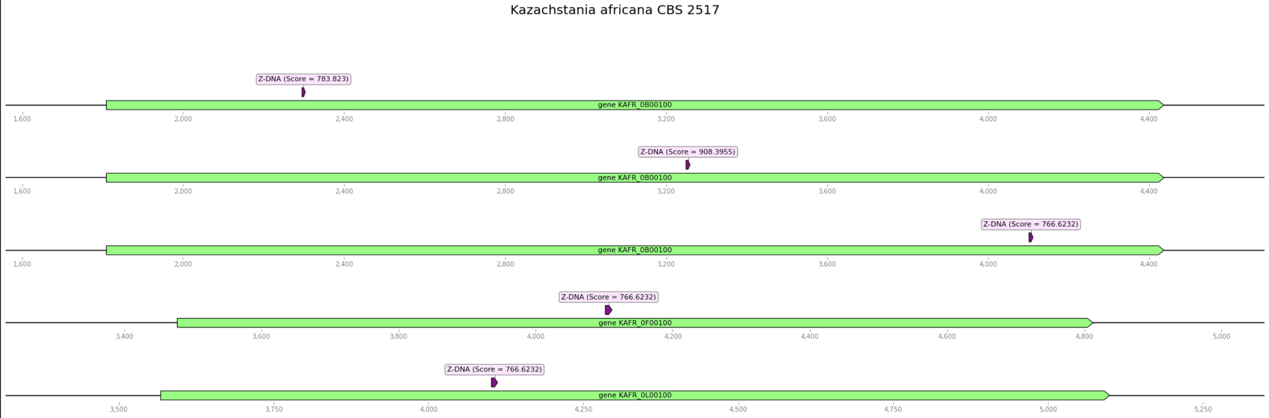 GitHub - nadialaban/hse22_project