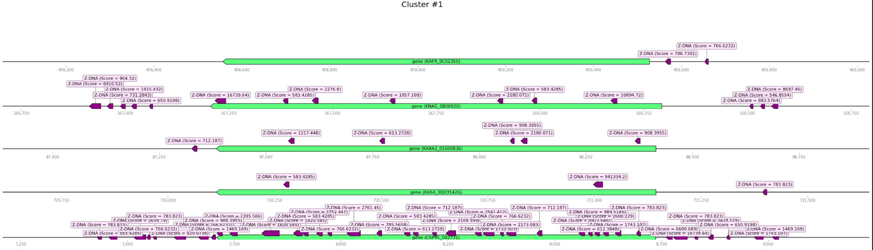 GitHub - nadialaban/hse22_project