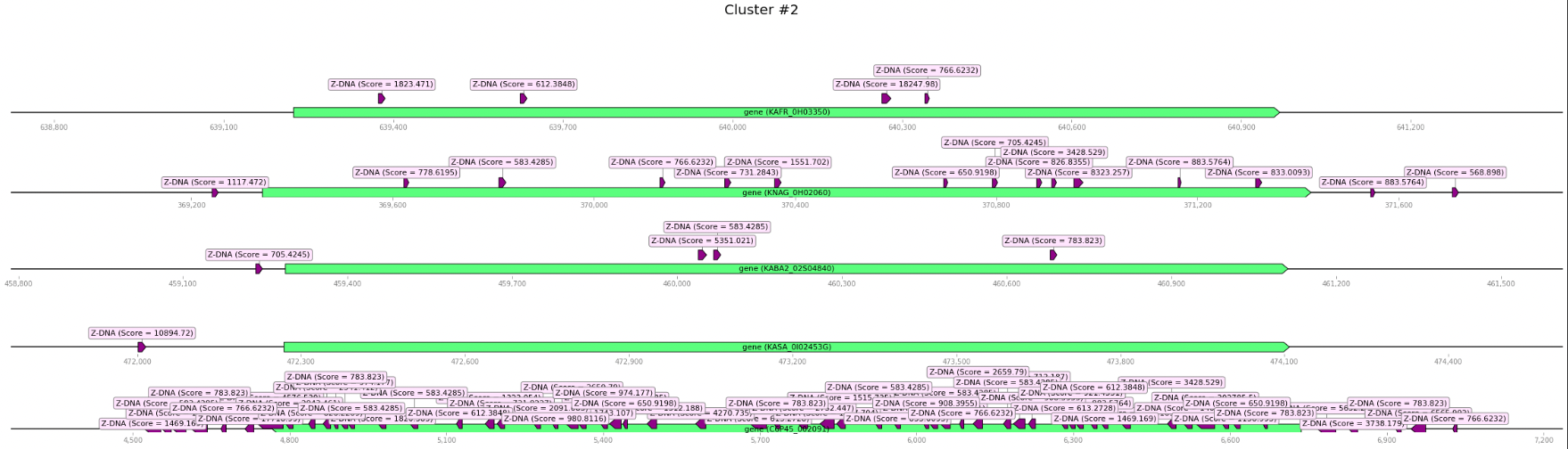 GitHub - nadialaban/hse22_project