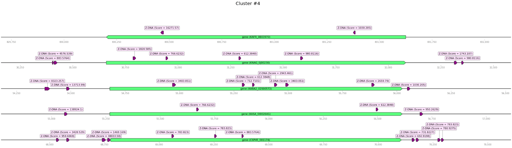 GitHub - nadialaban/hse22_project