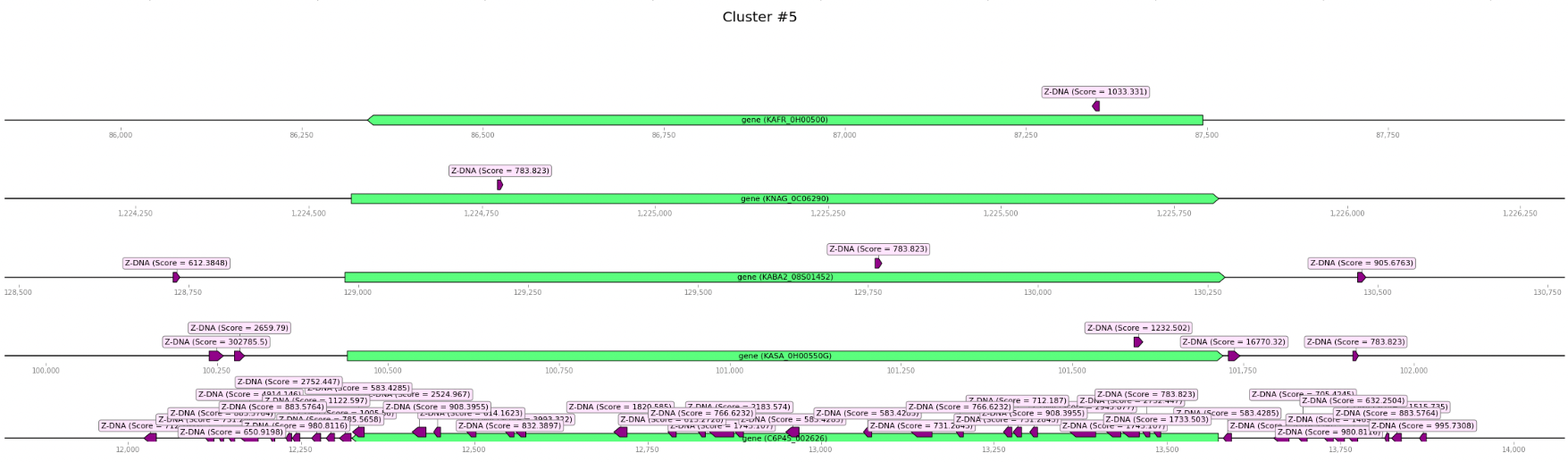GitHub - nadialaban/hse22_project