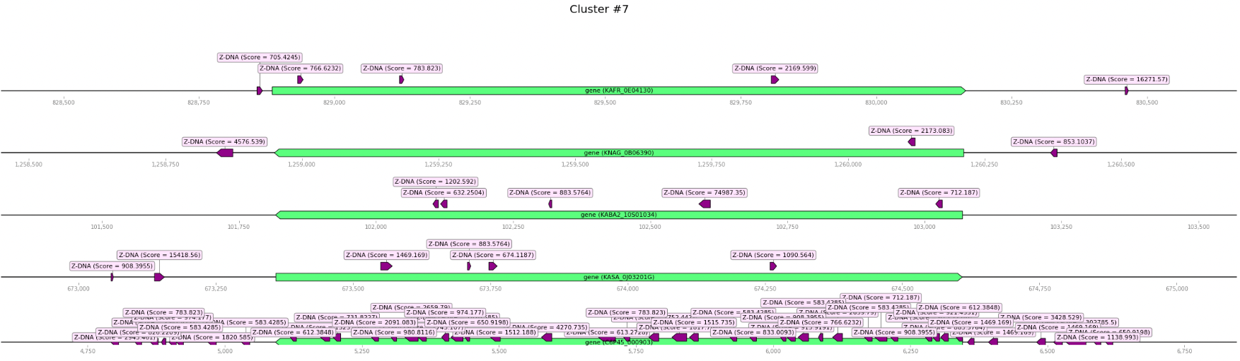 GitHub - nadialaban/hse22_project