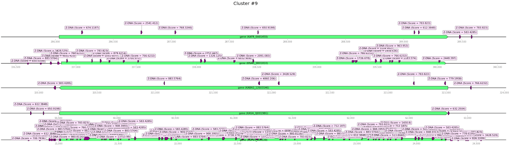 GitHub - nadialaban/hse22_project