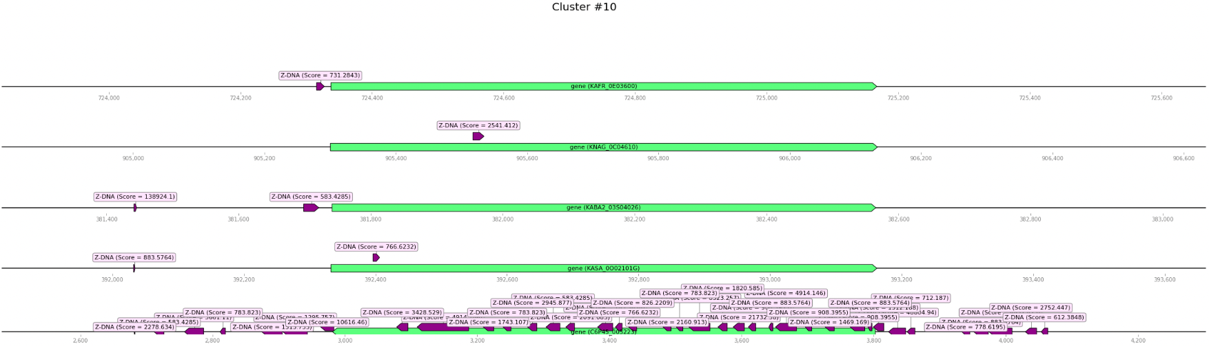 GitHub - nadialaban/hse22_project