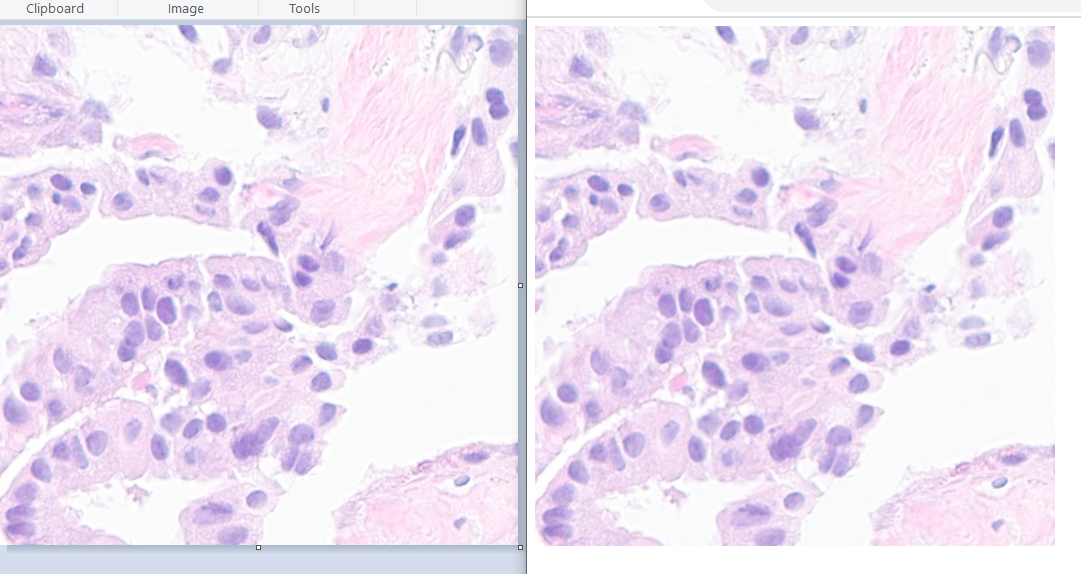 the osd image is fuzzier than the original image · Issue #2402 ...