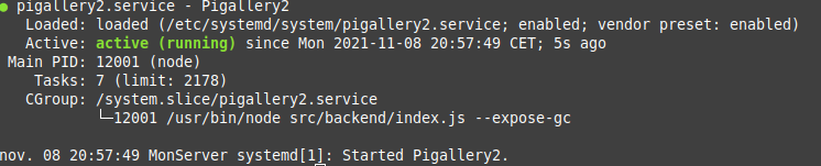Pigallery2 as a service doesn't start the server · Issue #382 · bpatrik ...
