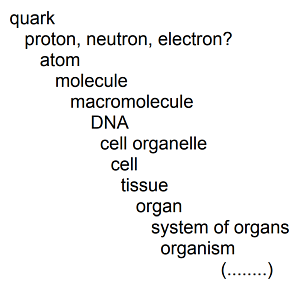 GitHub - Twenkid/Theory-of-Universe-and-Mind: Todor Arnaudov's "Theory of Universe and Mind ...