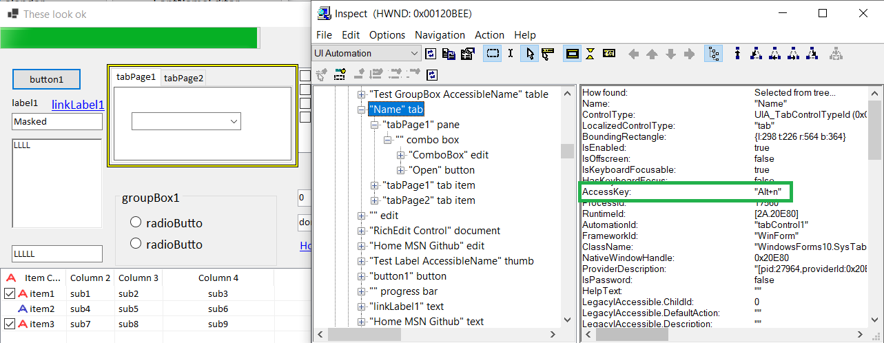 The "AccessKey" property returns an String.Empty instead of "Alt+n" value for "&Name" text ...