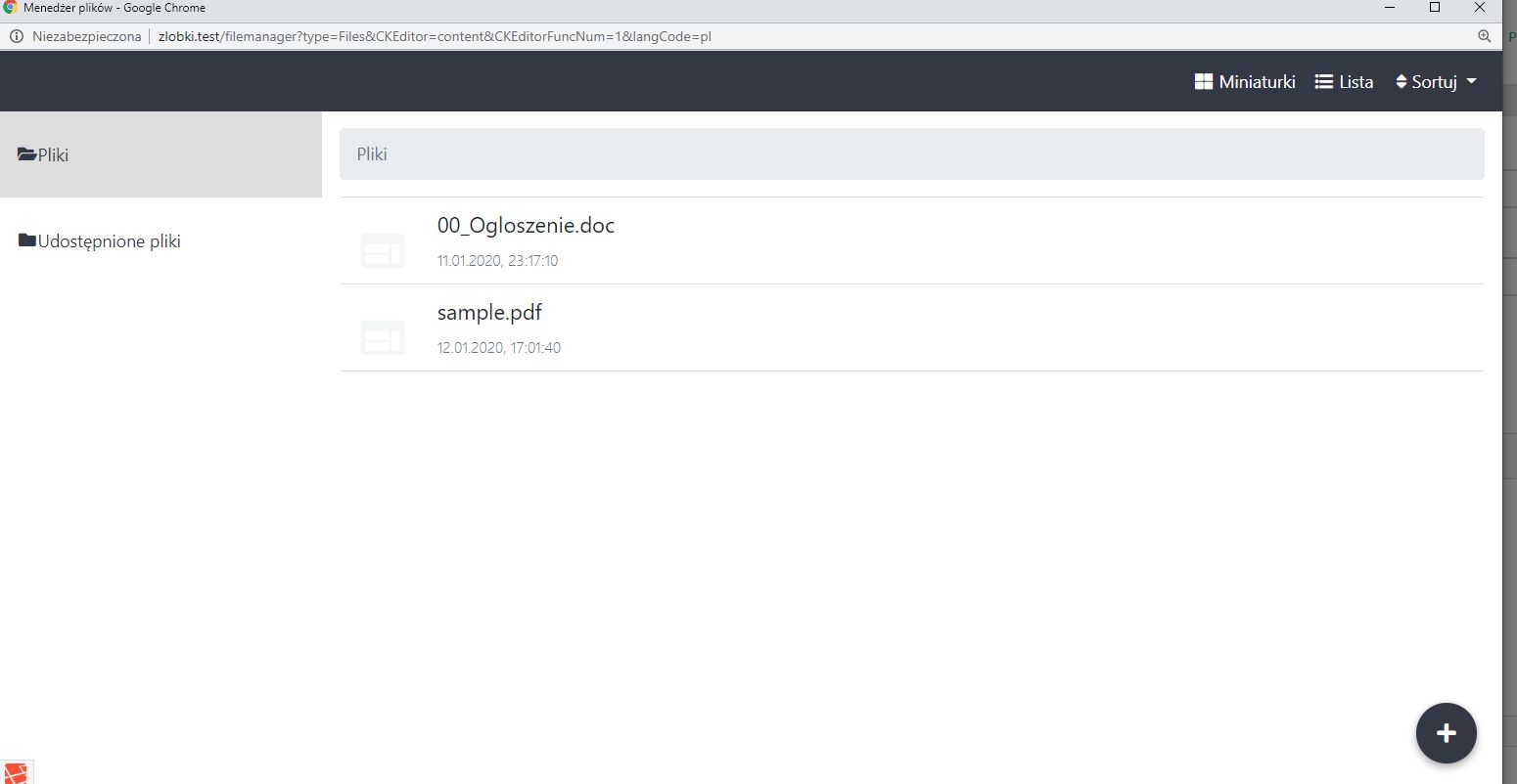 File icons are missing · Issue #866 · UniSharp/laravel-filemanager · GitHub