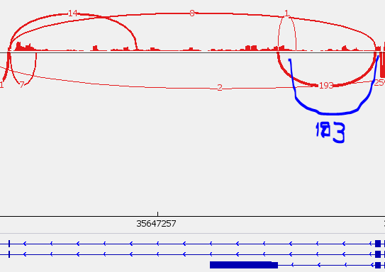 Incorrect coordinate of splice junction (A3SS) · Issue #188 · Xinglab/rmats-turbo · GitHub