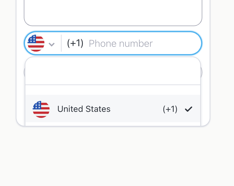phone input z-index issues · Issue #2327 · nexxtway/react-rainbow · GitHub