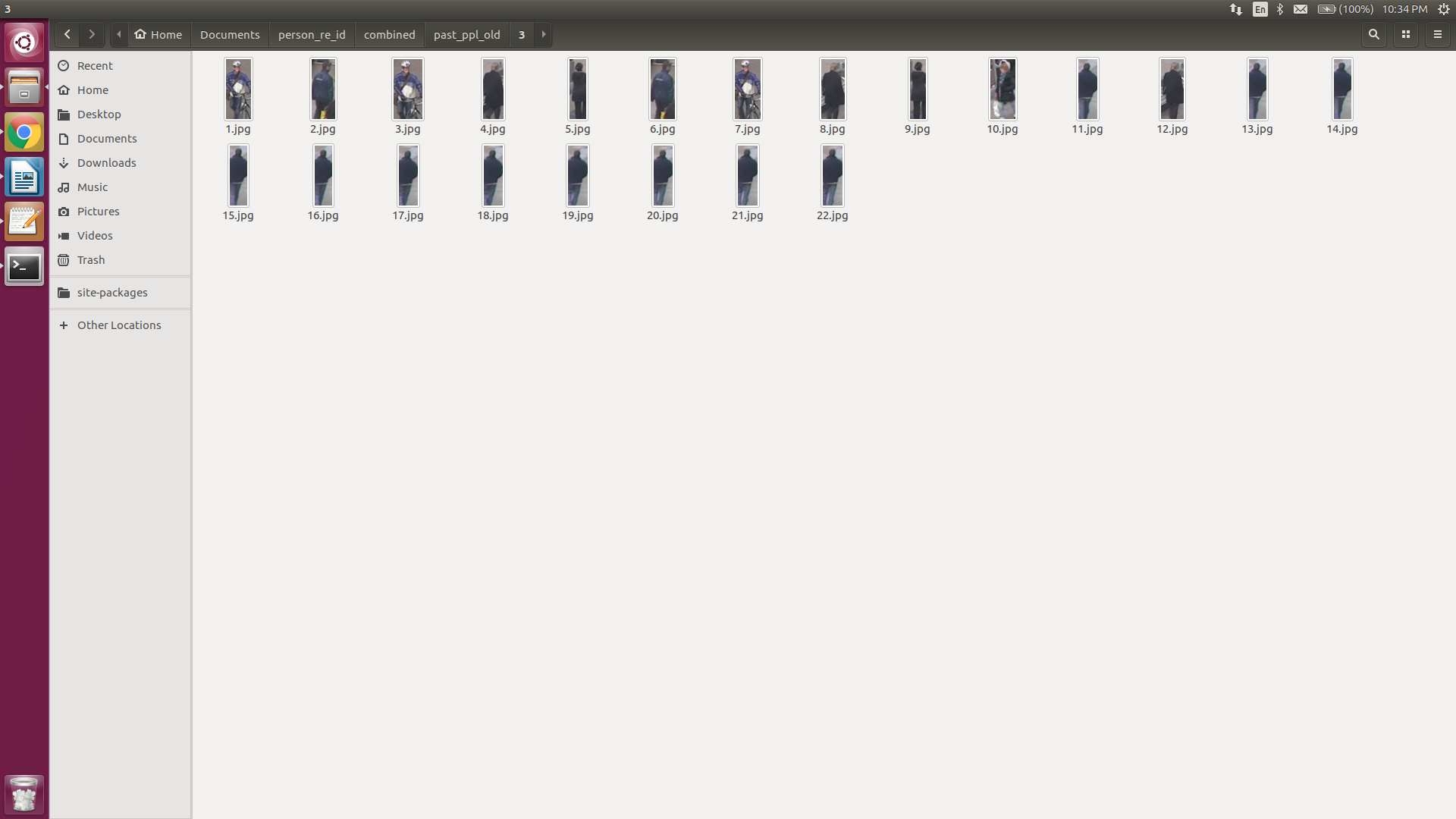 Image uploads · Issue #1 · Nirvan101/Person-Re-identification · GitHub
