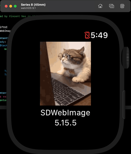 SDWebImage playback GIFs too fast on watchOS · Issue #3511 · SDWebImage/SDWebImage · GitHub