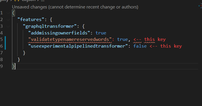 Cant Use The Amplify Cli Anymore Validatetypenamereservedwords