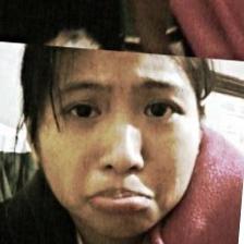 The RAF-DB that aligned by MTCNN. · Issue #9 · youqingxiaozhua/APViT · GitHub