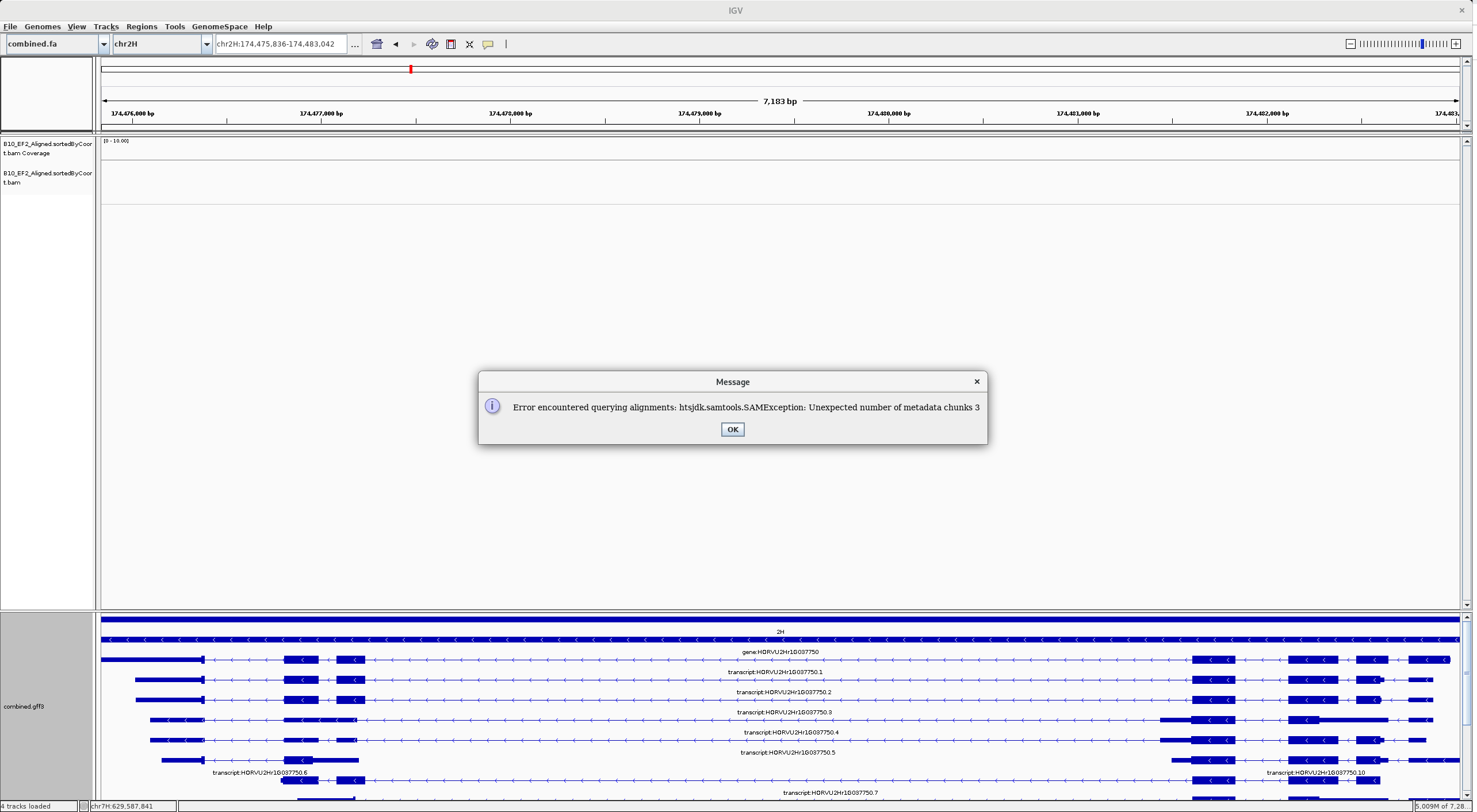 Trouble Loading Bam File In Igv · Issue 1047 · Samtoolshtsjdk · Github