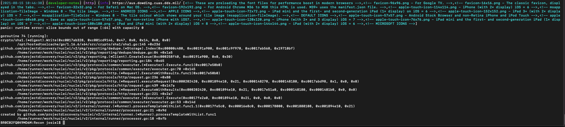 runtime error: slice bounds out of range · Issue #946 · projectdiscovery/nuclei · GitHub