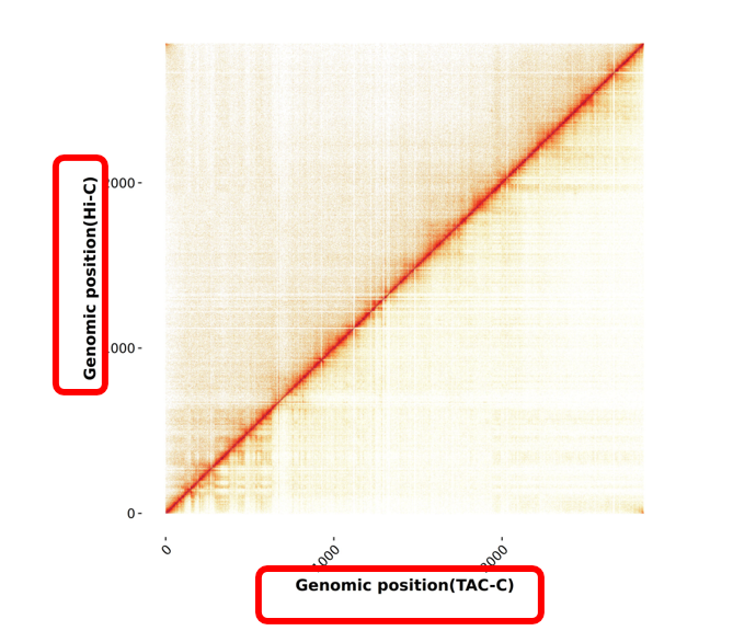 How to make one heatmap plot for two conditions? · Issue #449 · open2c/cooltools · GitHub
