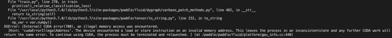 动态图backward执行完成后，print loss报错：(External) CUDA error(700), an illegal memory access was ...