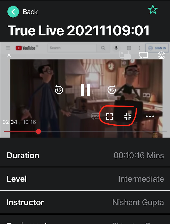 Exit Full screen option visible in iOS while video is playing in non-full screen · Issue #167 ...