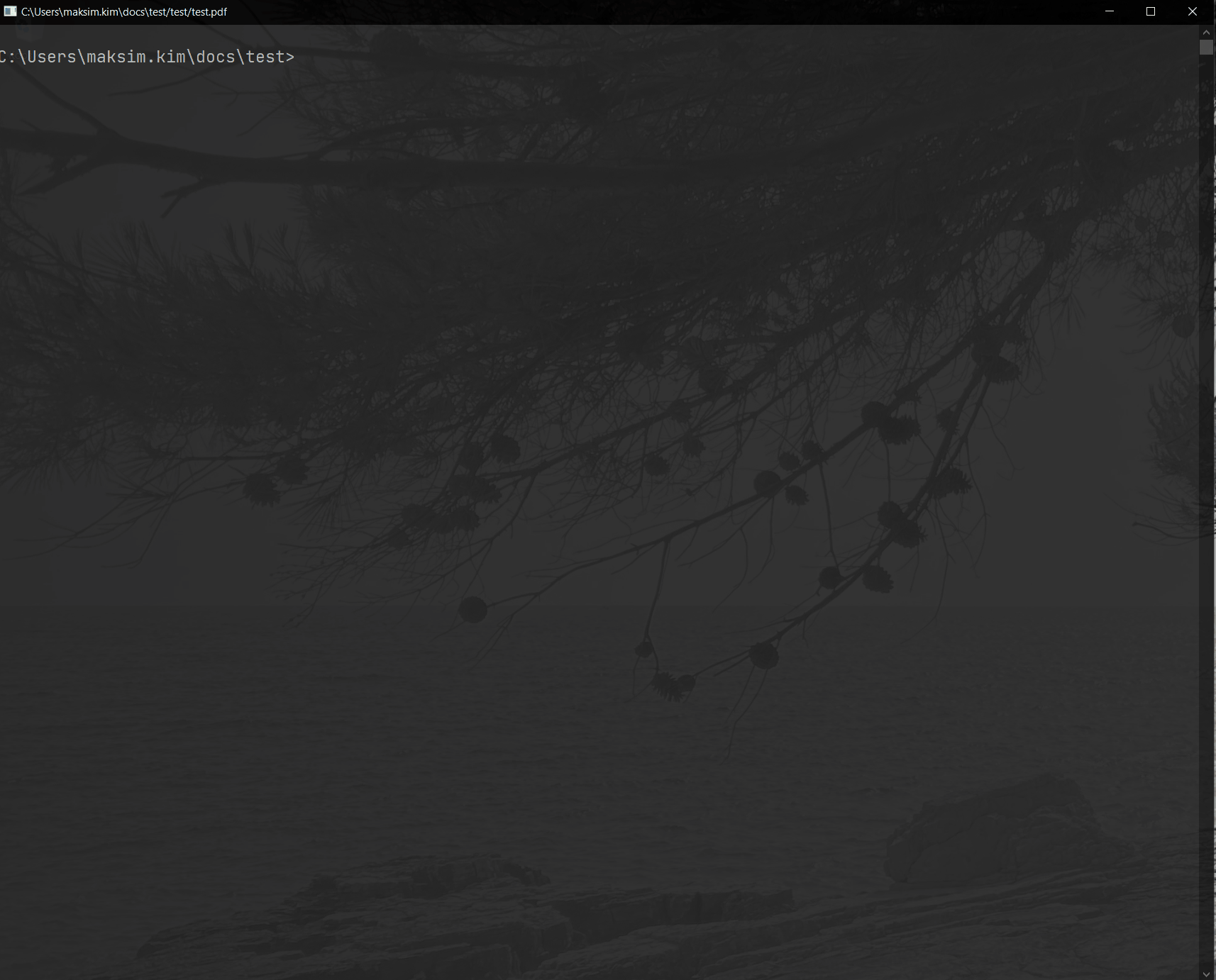VimtexCompile and VimtexView shows cmd.exe · Issue #2305 · lervag/vimtex · GitHub