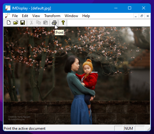 How I can print my pictures using the command line · ImageMagick ImageMagick · Discussion #4394 ...