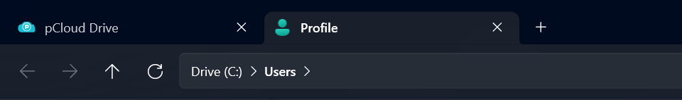 Pin Tab · Issue #13515 · files-community/Files · GitHub