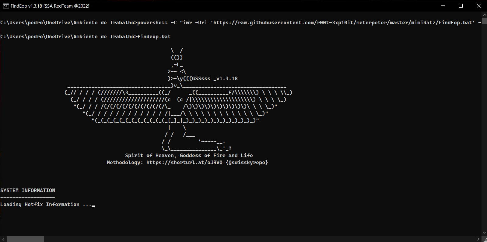 Auxiliary module of @Meterpeter v2.10.11 - FindEop module ( EOP ) · GitHub